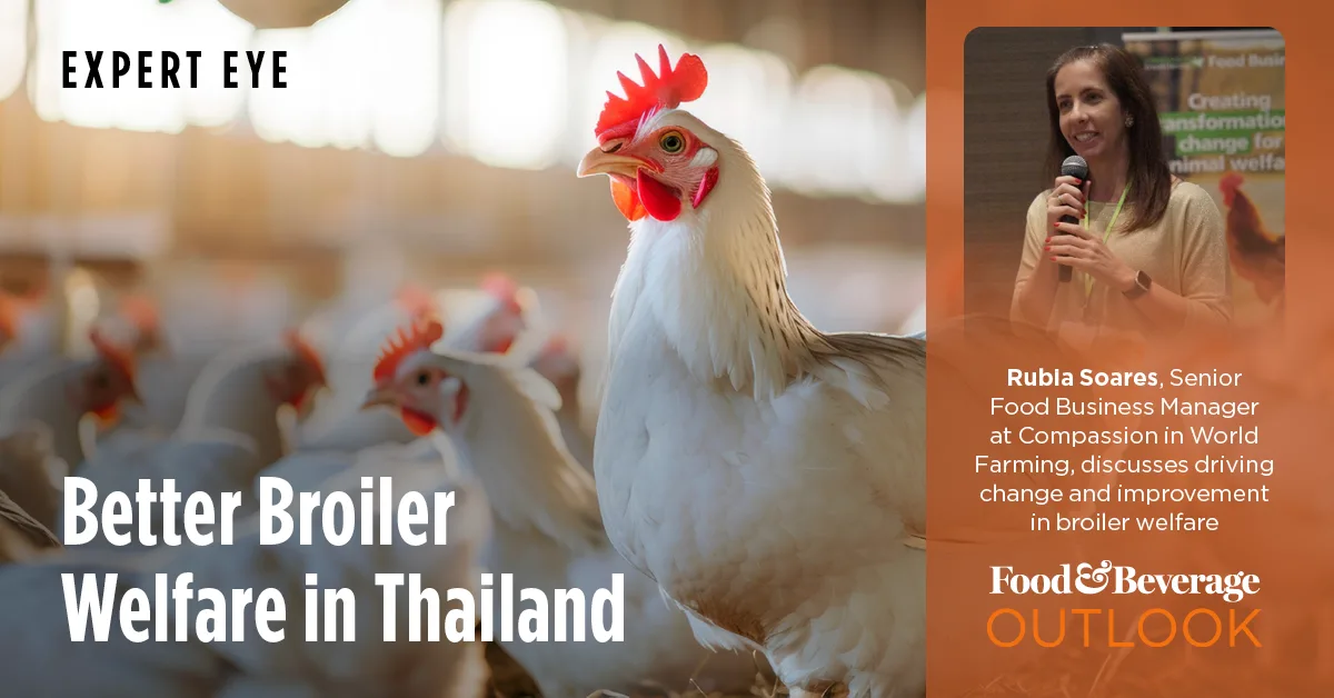 Compassion in World Farming : Better Broiler Welfare in Thailand - Food ...